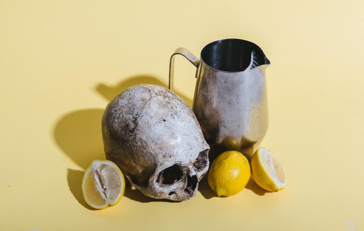 Stilllebenfotografie - Tipps, Ausrüstung und Ideen für moderne Stillleben