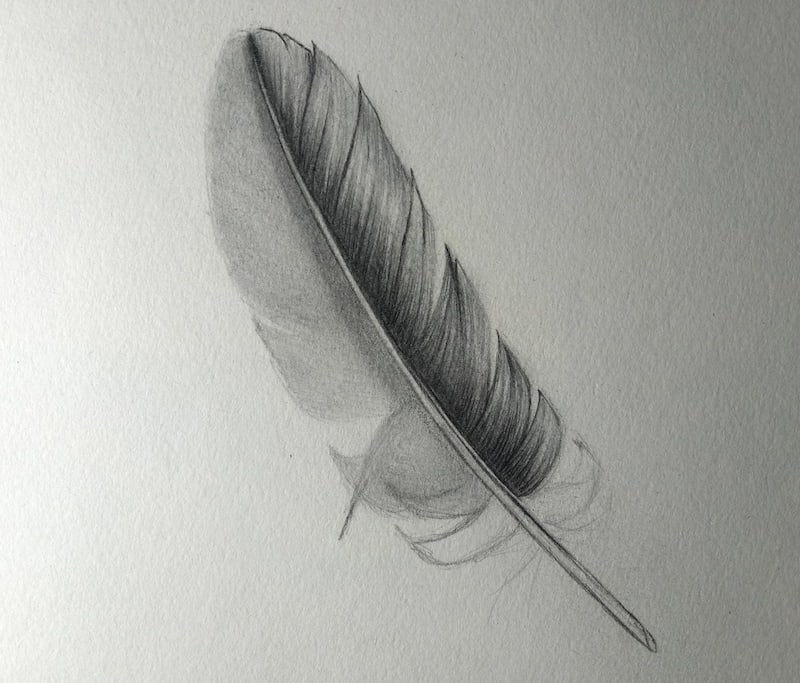 Feder zeichnen lernen - Schritt für Schritt Anleitung