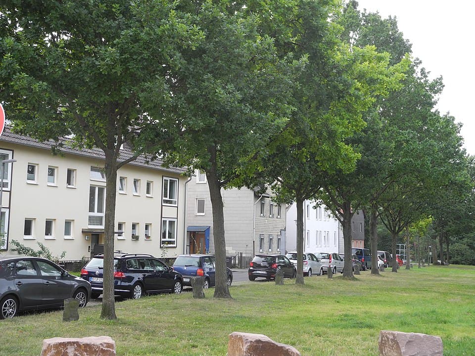 Joseph Beuys - Biografie, bedeutende Werke und künstlerischer Einfluss