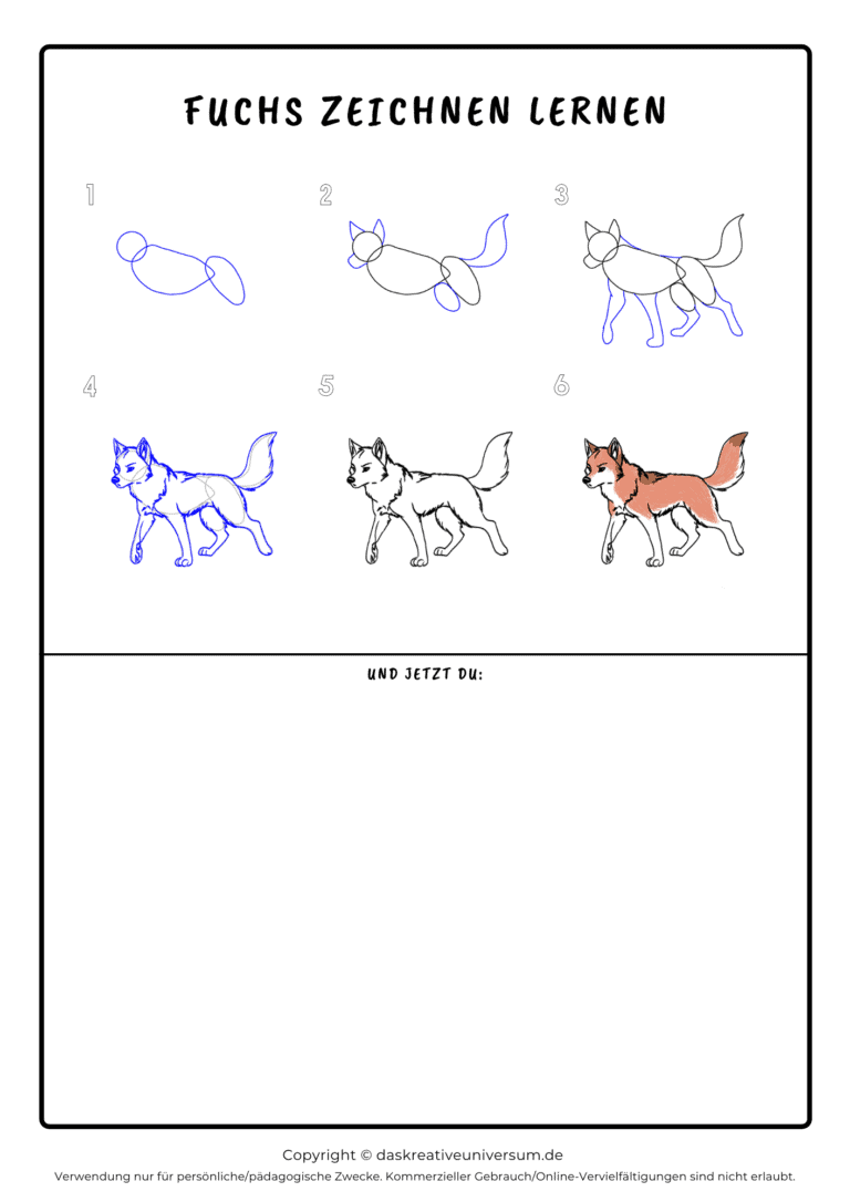 Fuchs zeichnen lernen - Anleitung für einen perfekten Fuchs